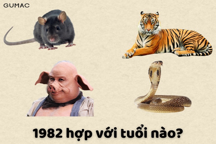 1982 hợp màu gì 2025? Cách chọn màu trang phục hợp mệnh THUỶ
