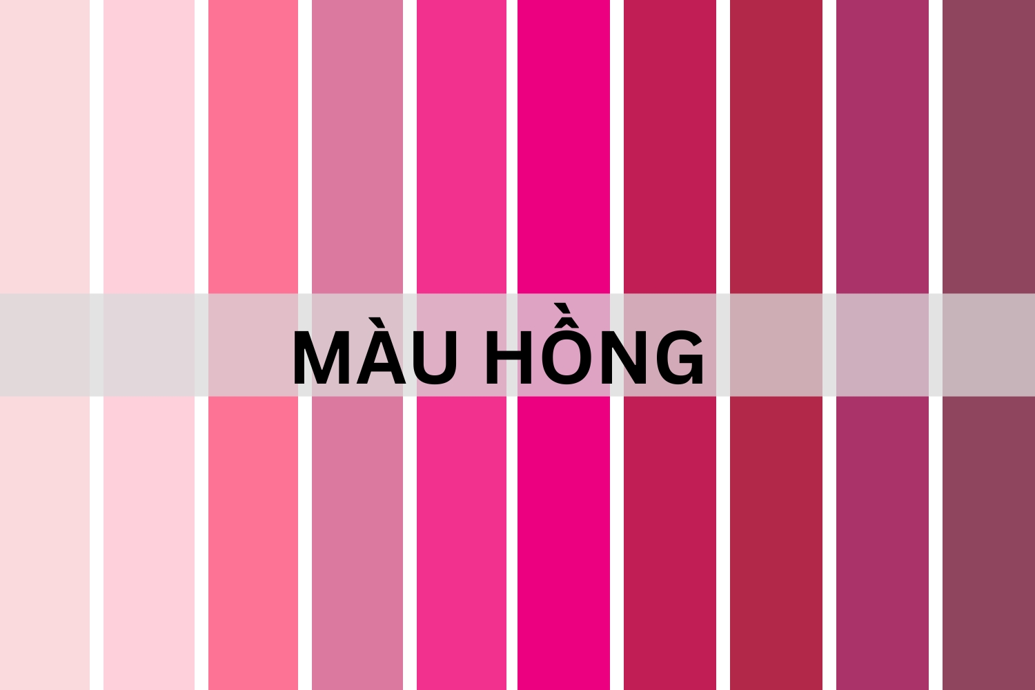 Màu hồng kết hợp với màu gì? 10 tips phối đồ SIÊU XINH