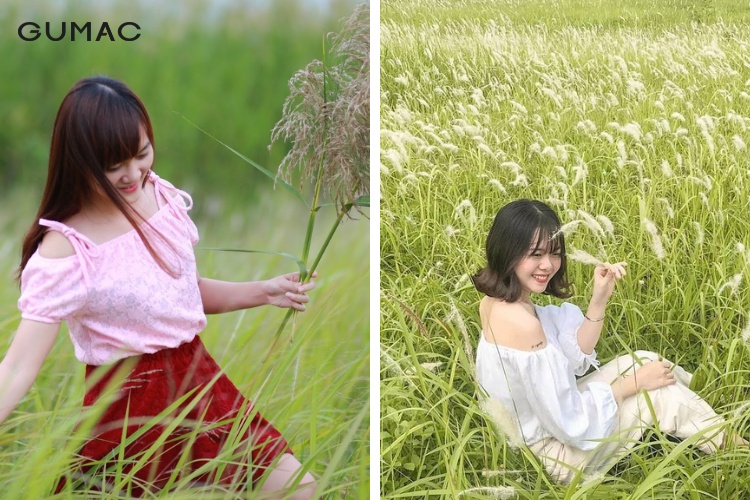 Chụp ảnh cỏ lau mặc gì? Gợi ý 7+ outfit chụp ảnh cỏ lau siêu ĐẸP