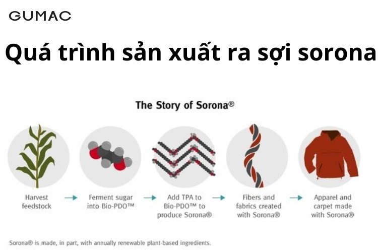 Sợi sorona là gì? Nguồn gốc, đặc điểm, ưu điểm vải sợi sorona