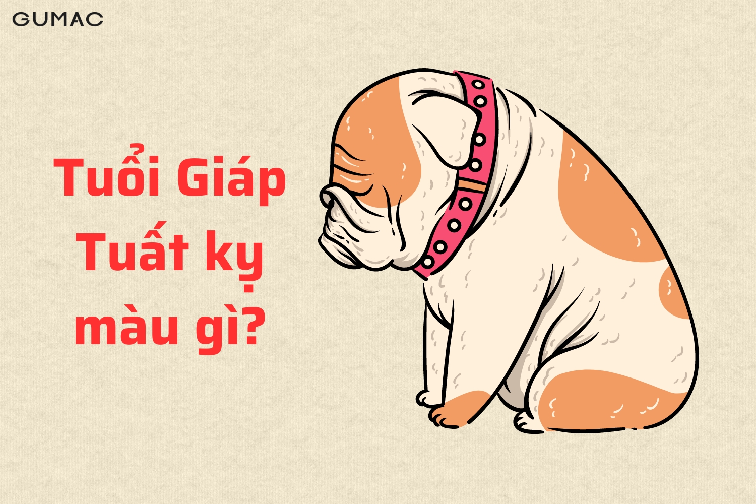 Tuổi Tuất hợp màu gì năm 2025 và bí quyết phối đồ CHUẨN phong thủy